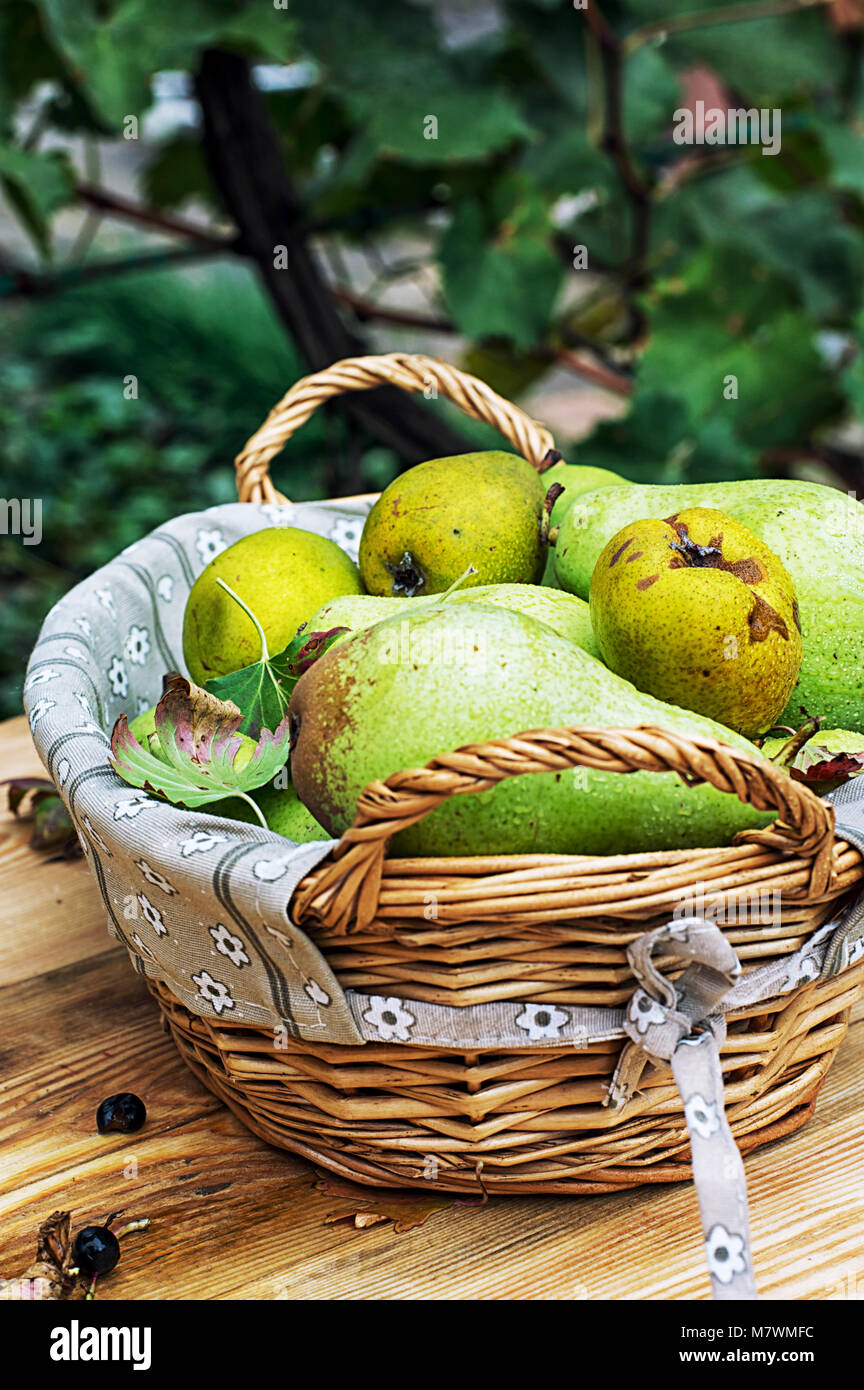 Juicy flavorful pears of nature background Stock Photo - Alamy