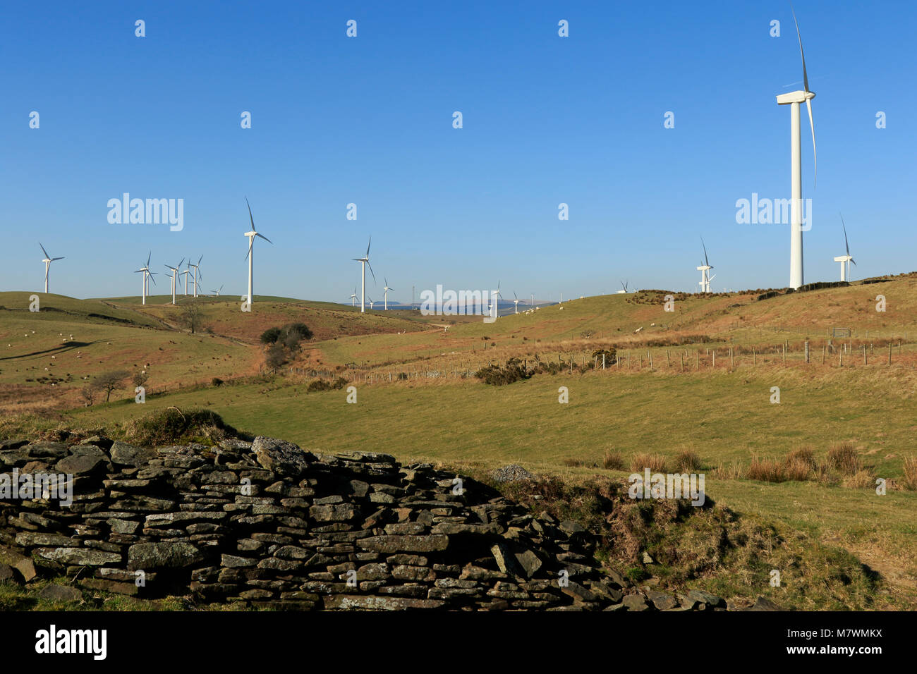 Gilfach goch hi-res stock photography and images - Alamy