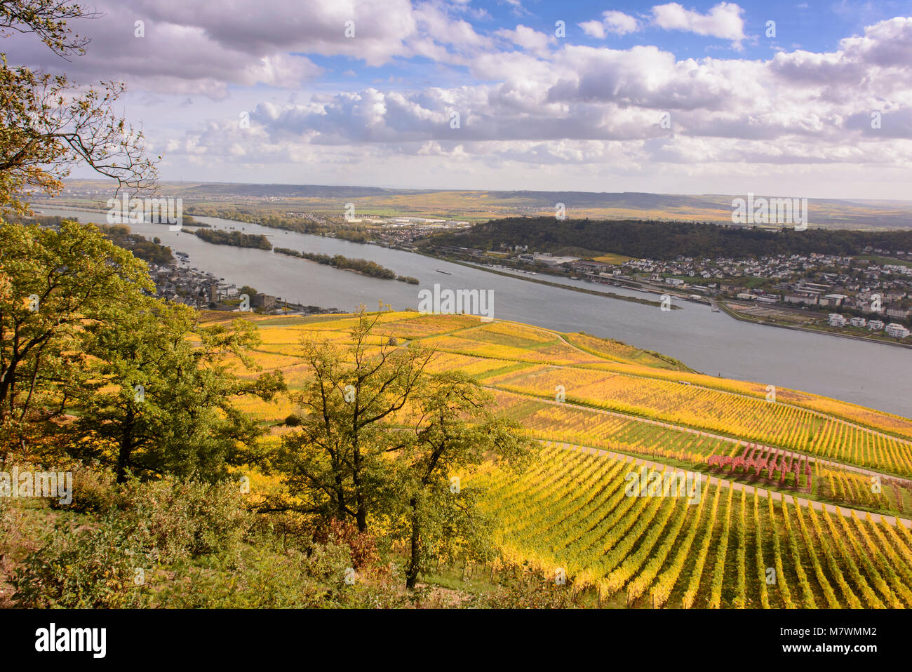 Rudesheim am rhein hi-res stock photography and images - Alamy