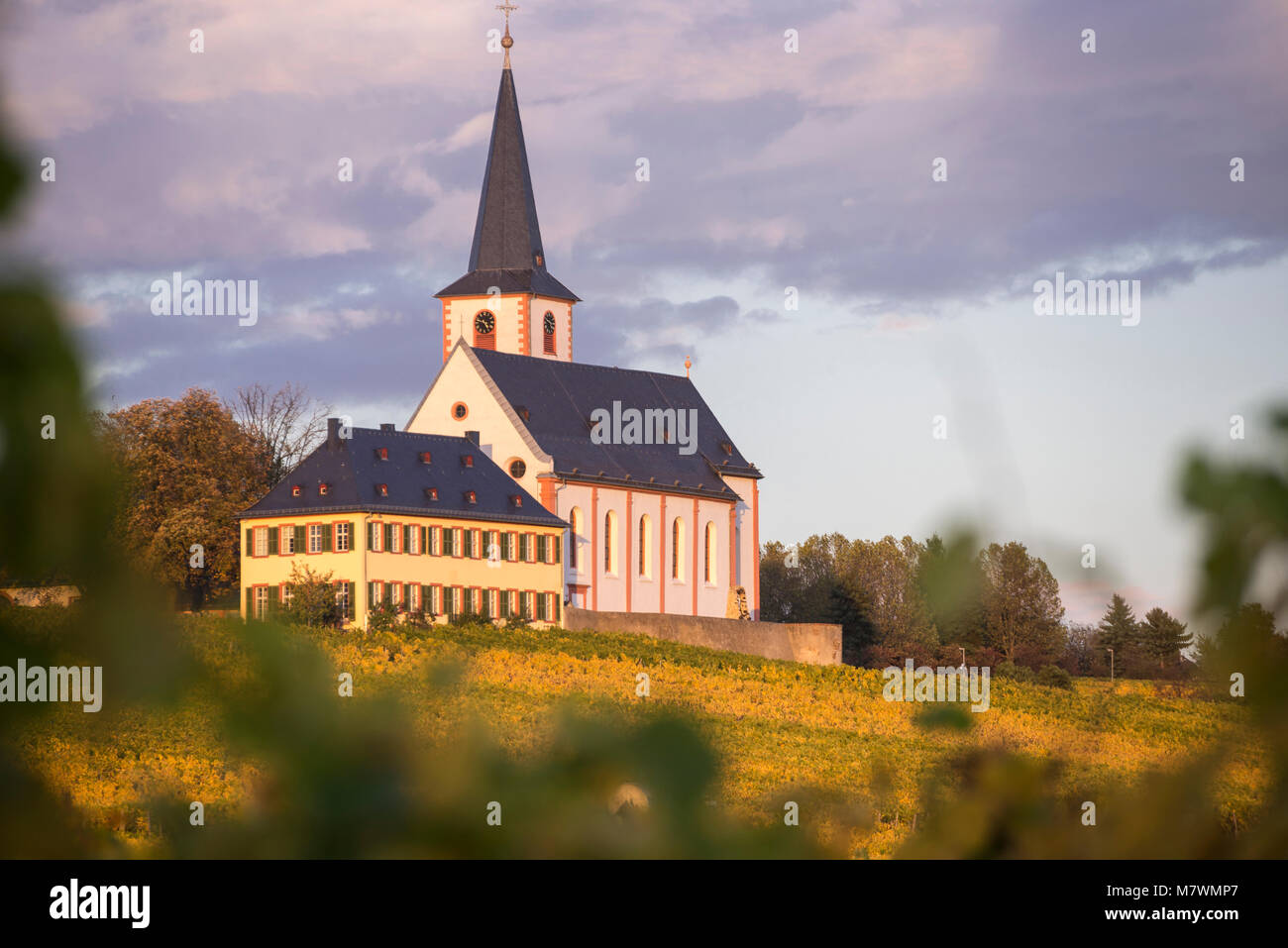 Hochheim, Rheingau, Hessen, Deutschland Stock Photo - Alamy