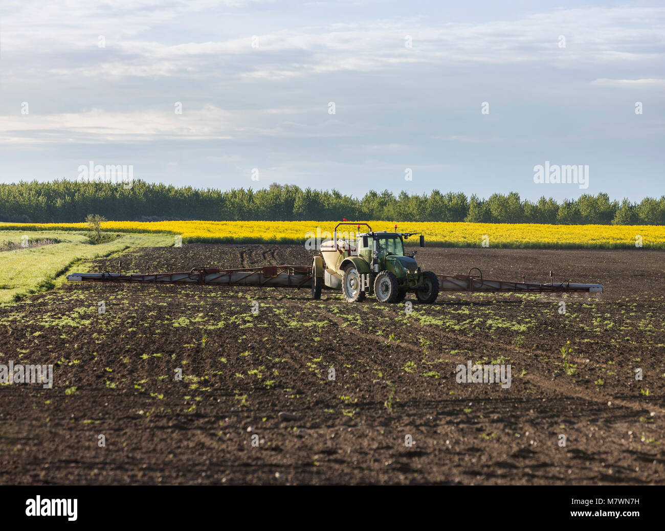 Tractor spraying fertilizer on agricultural field Stock Photo - Alamy