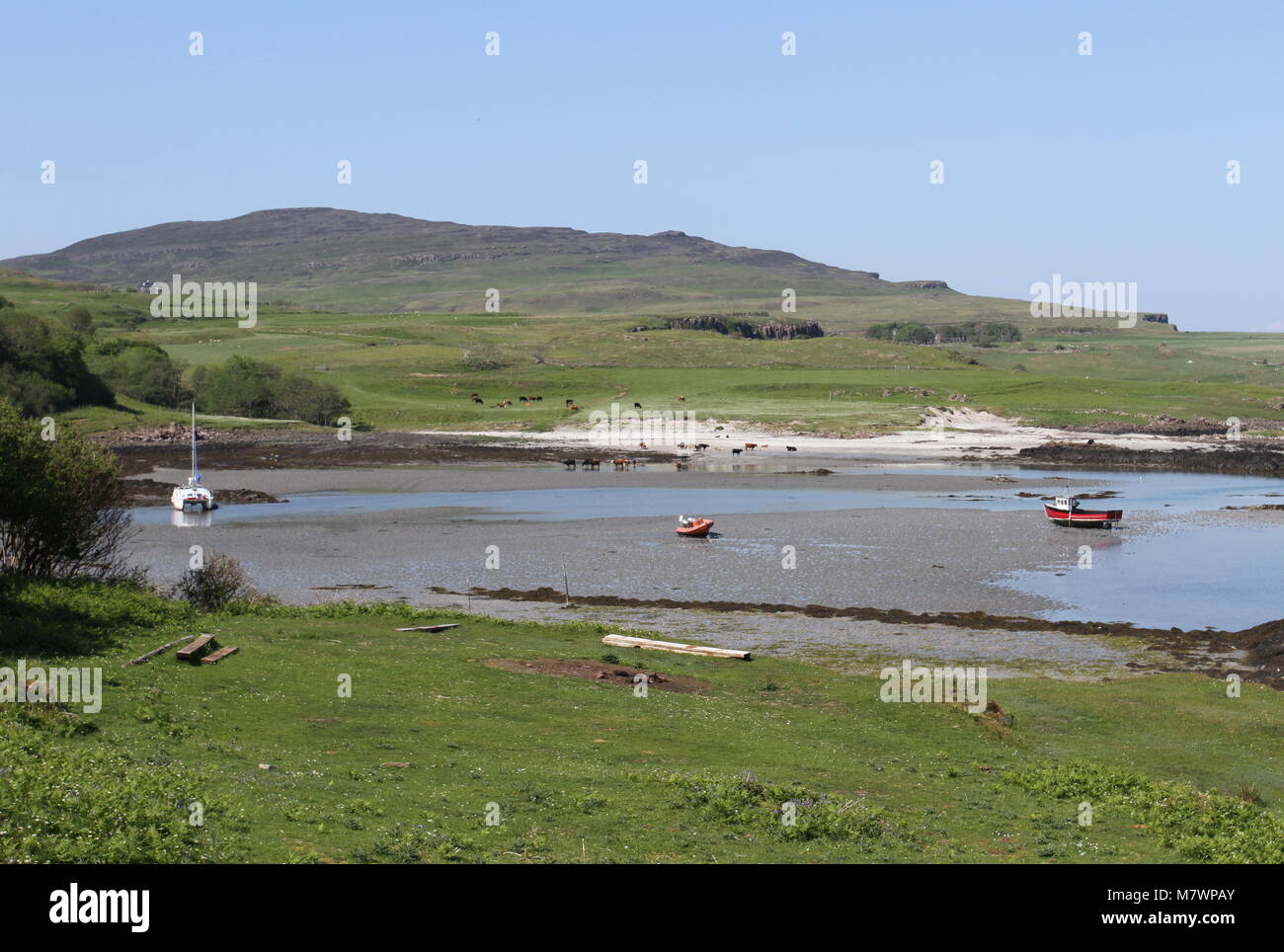 Bay of Laig at low tide Isle of Eigg Scotland May 2012 Stock Photo - Alamy
