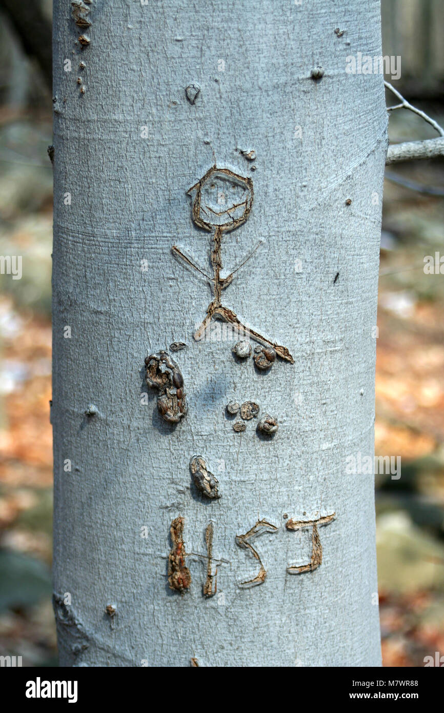 A Human stick figure carved in a tree Stock Photo - Alamy