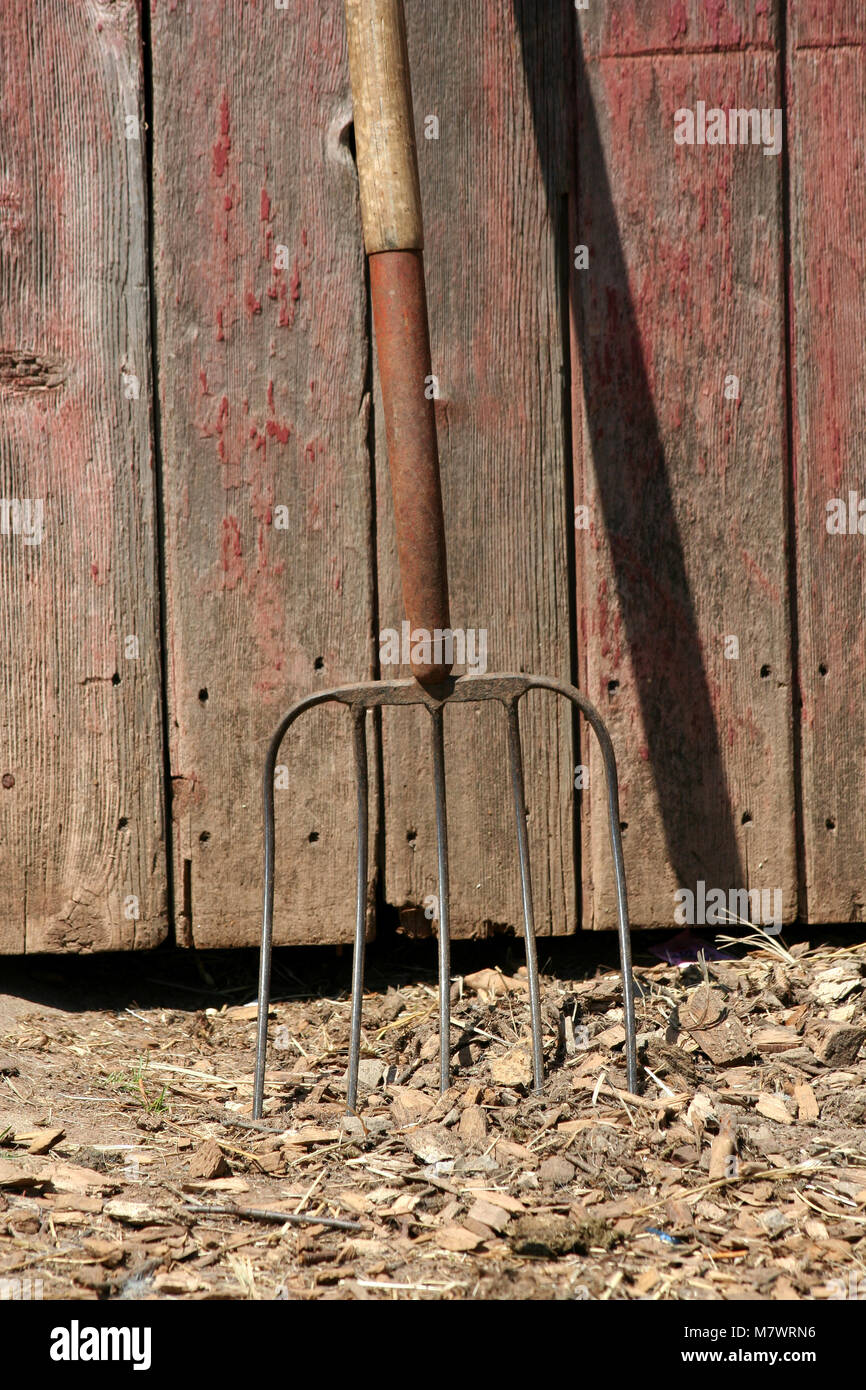 A Pitchfork leaning on a old red barn Stock Photo - Alamy