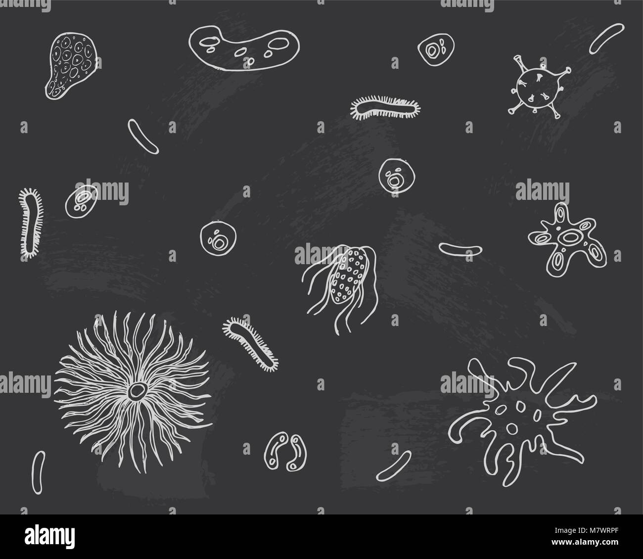 Microbial vector vectors Stock Vector Images - Alamy