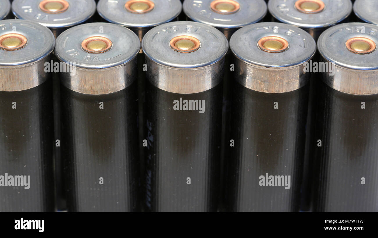 Shotgun Shells Wallpaper