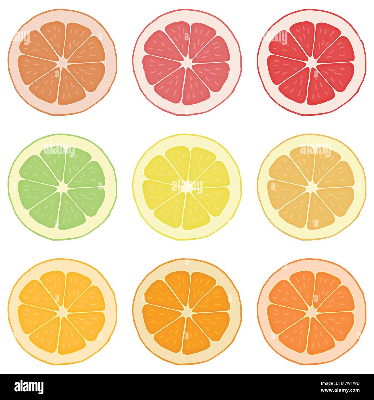 Cut fruit. Lemon, orange, grapefruit and lime. Citrus vector ...