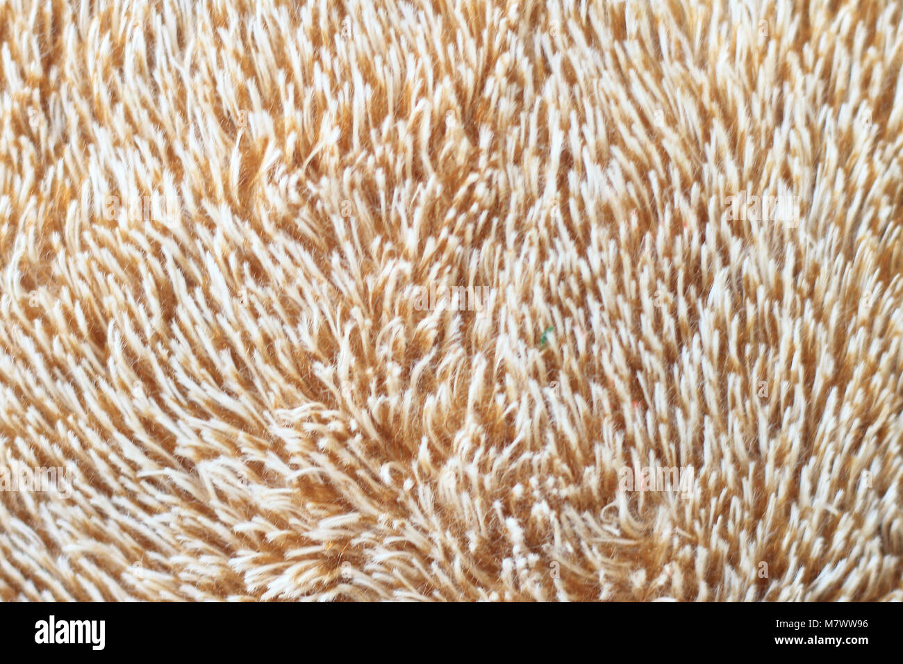 material with long pile as a background, texture of fabric Stock Photo ...