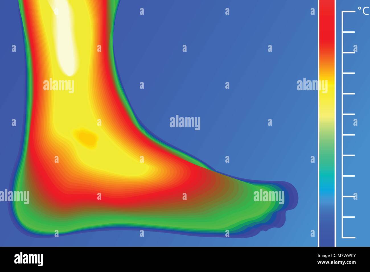 Temperature Scale Stock Photos & Temperature Scale Stock Images - Alamy