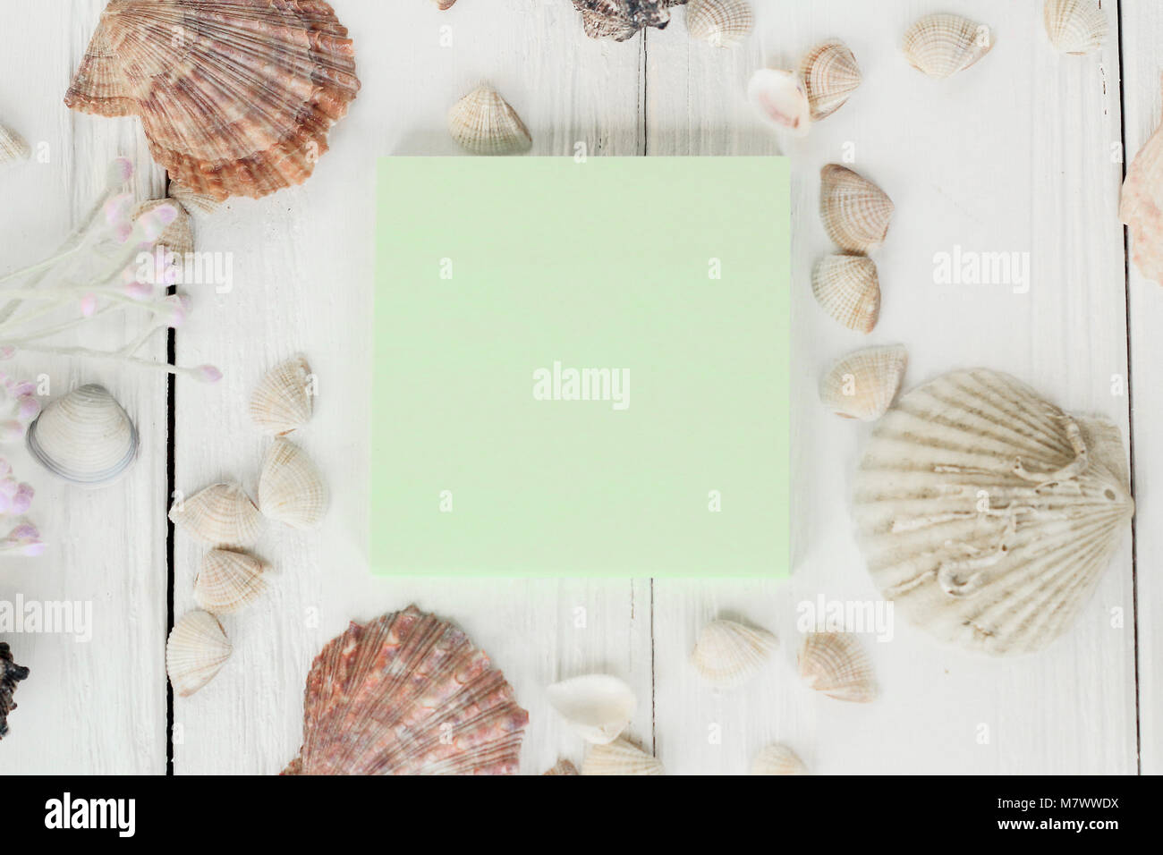 green blank sheet and seashells on wooden background.Travel background ...