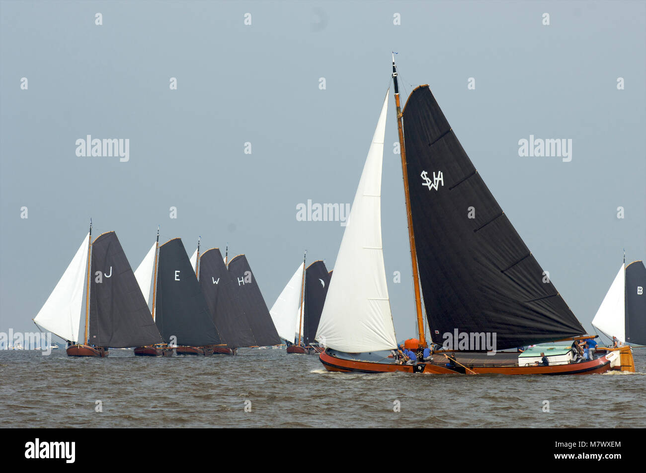 A traditional sailing race called skutsjesilen with classic Dutch ...
