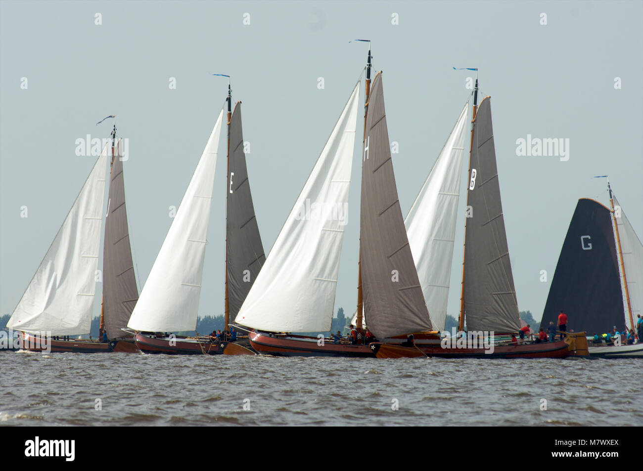 A traditional sailing race with classic Dutch wooden flat-bottemend ...