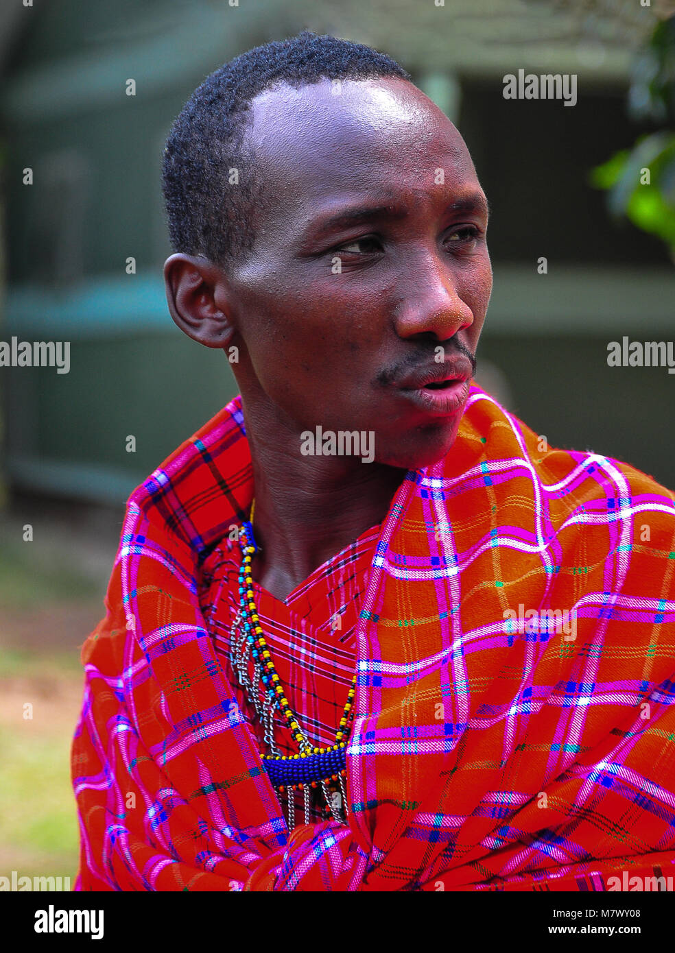 Portrait of a young masai tribesman in traditional red dress with ...