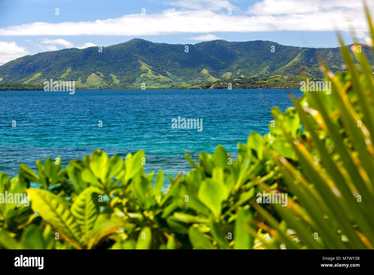 Beautiful landscape of Fiji island during high tide with green leaves ...