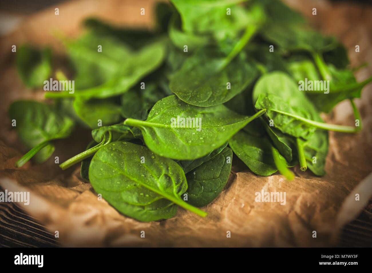 Baby spinach leaves Stock Photo - Alamy