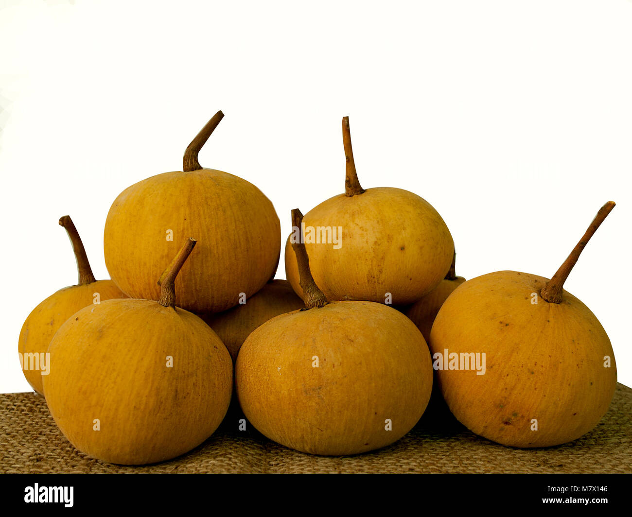 Santol fruit hi-res stock photography and images - Alamy