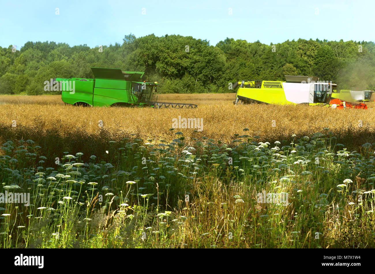 two agricultural machines operate in the field, agricultural land, ain ...