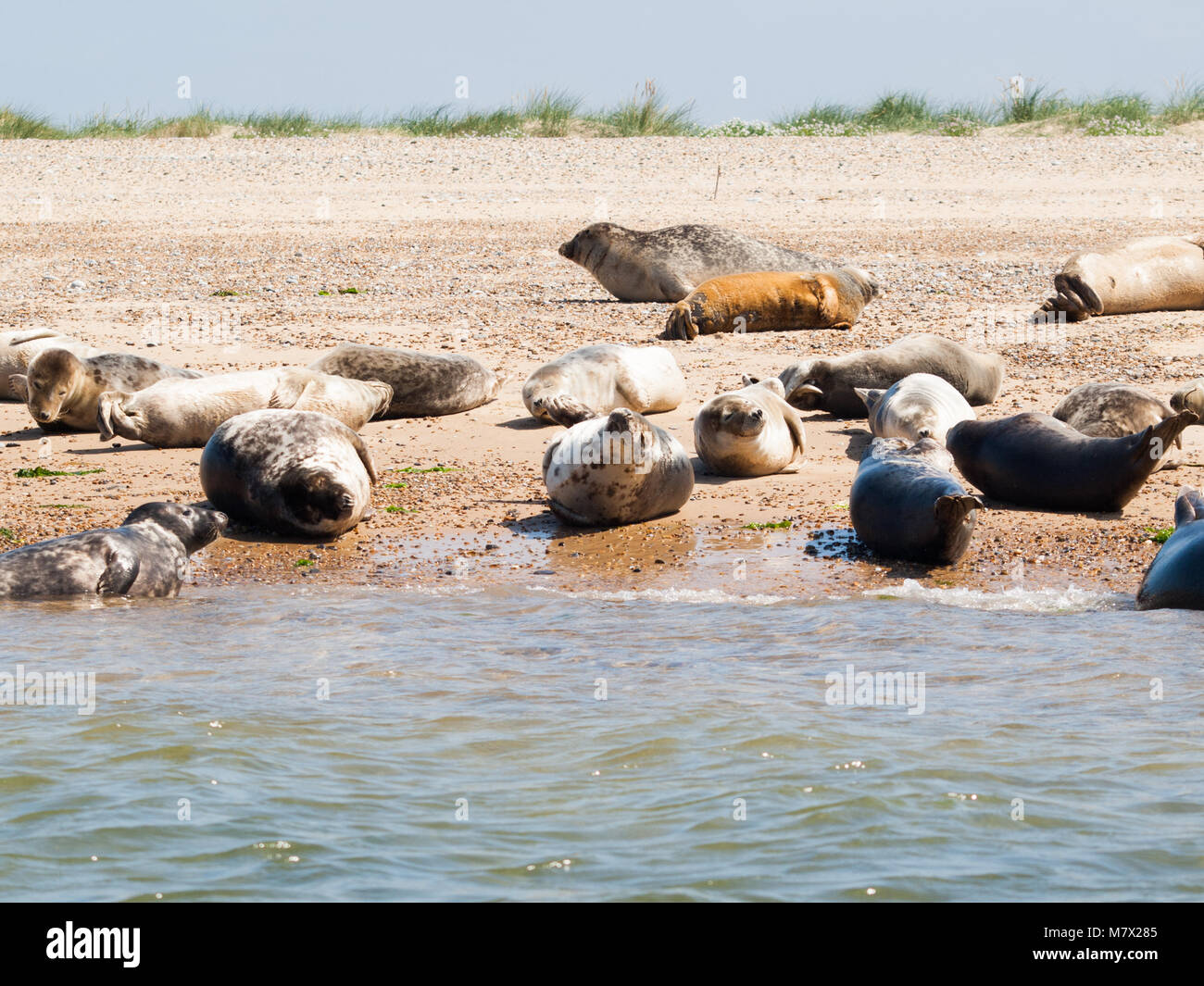 Blackeney point hi-res stock photography and images - Alamy