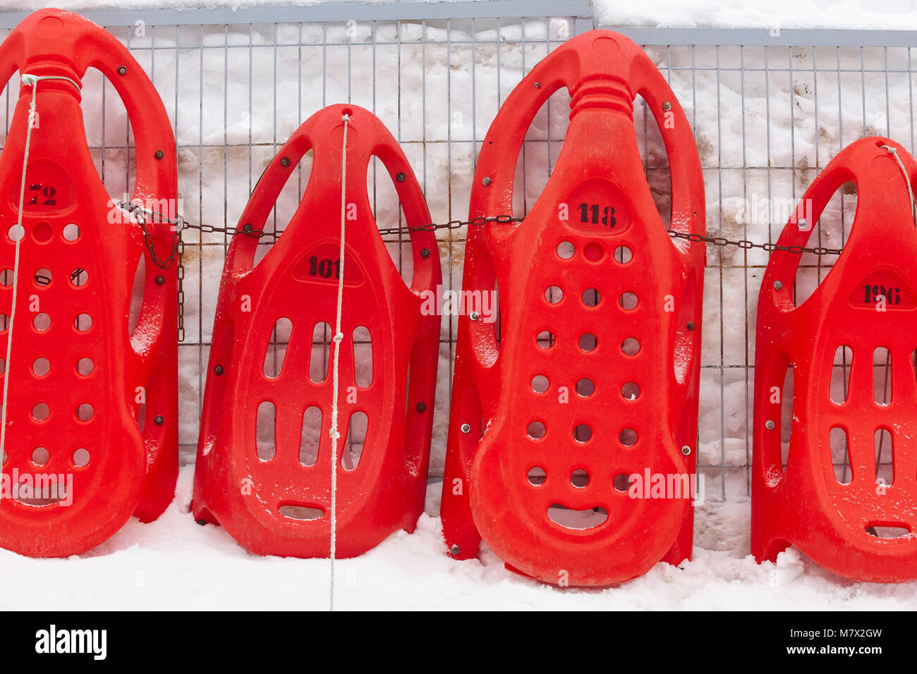 Red sledges ready to rent. Winter sports. Recreation. Horizontal Stock ...