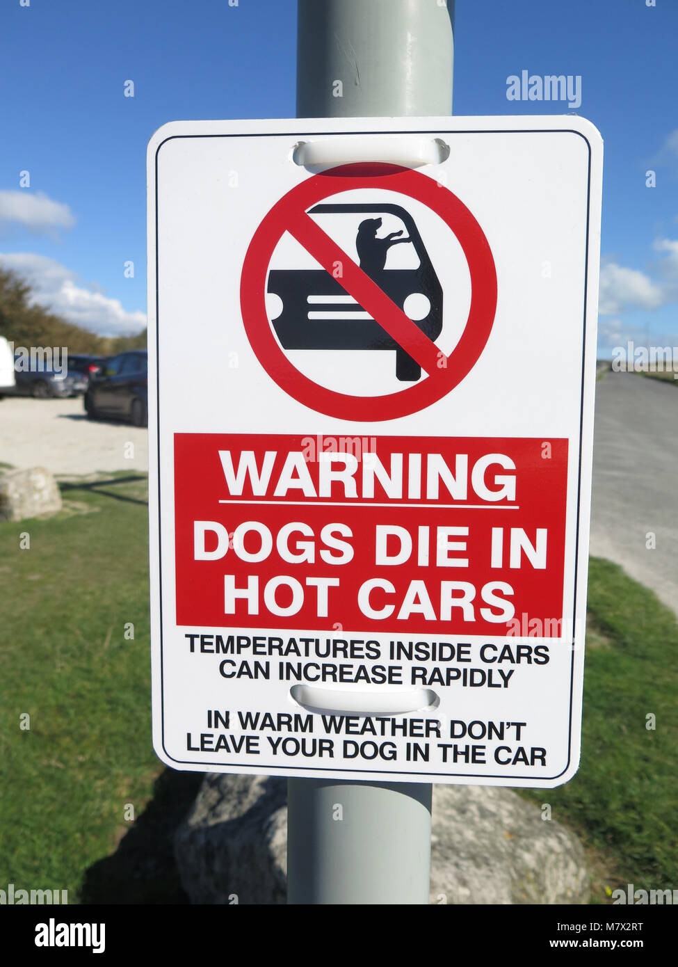 Sign in car park warning of dogs overheating in cars Stock Photo - Alamy