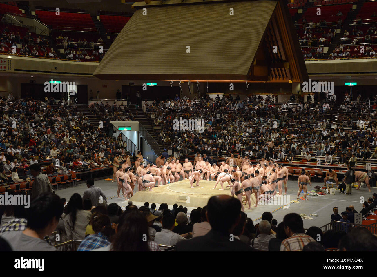 Japan, Tokyo: Sumo wrestling Stock Photo - Alamy