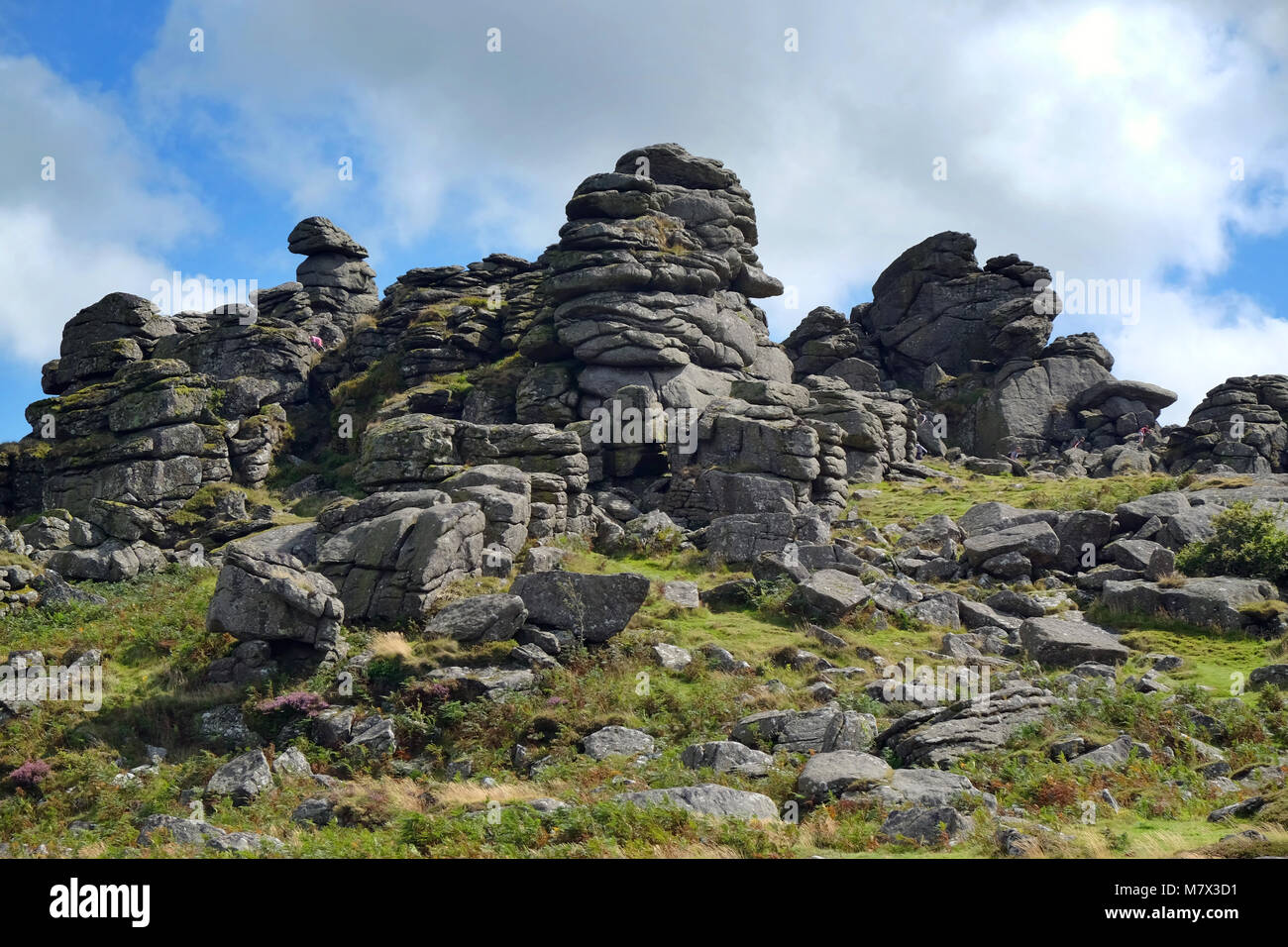hound tor in the dartmoor national park devon Stock Photo - Alamy