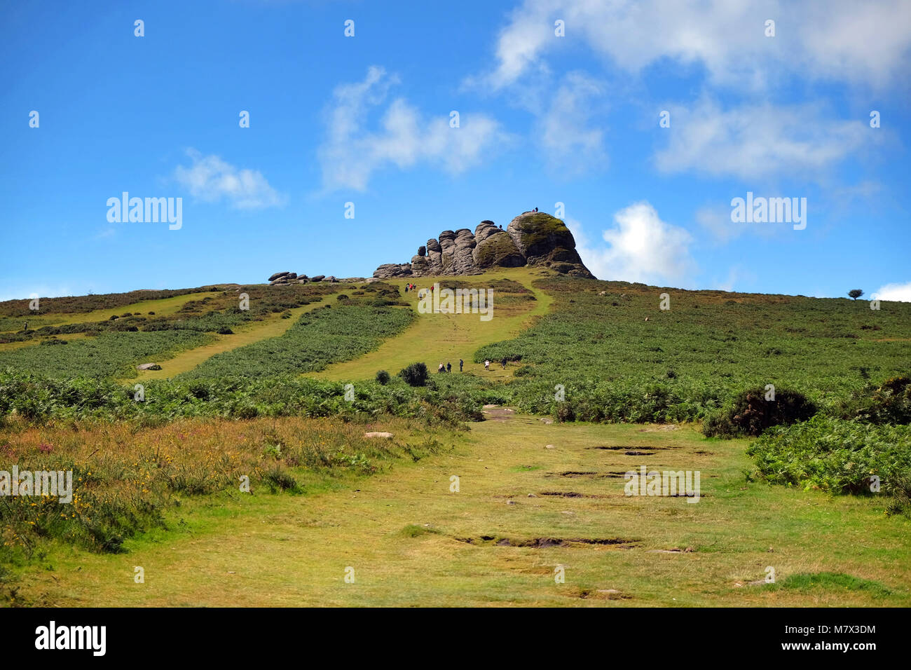 Devon coastline dartmoor hi-res stock photography and images - Alamy