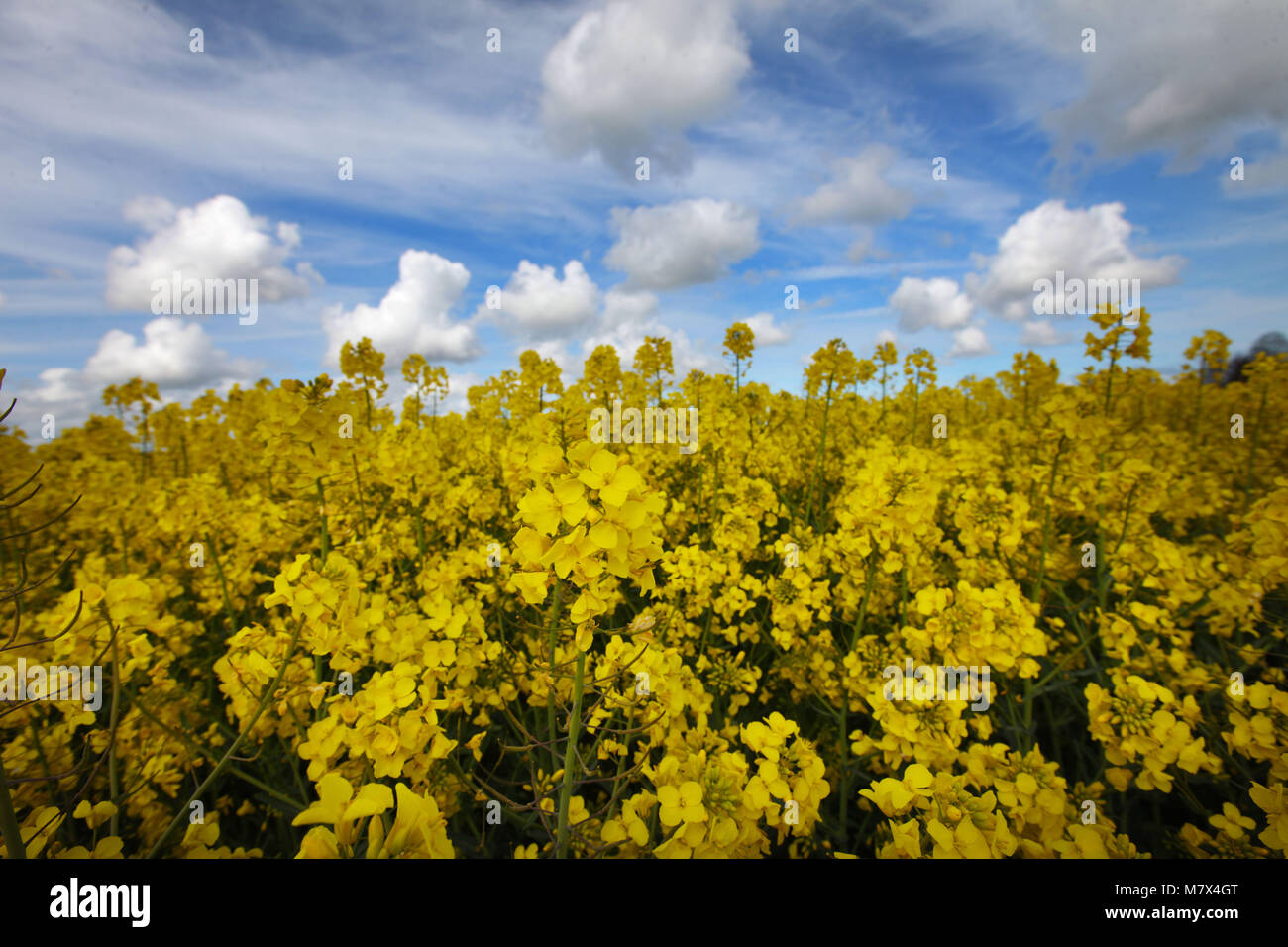 Stannington hi-res stock photography and images - Alamy