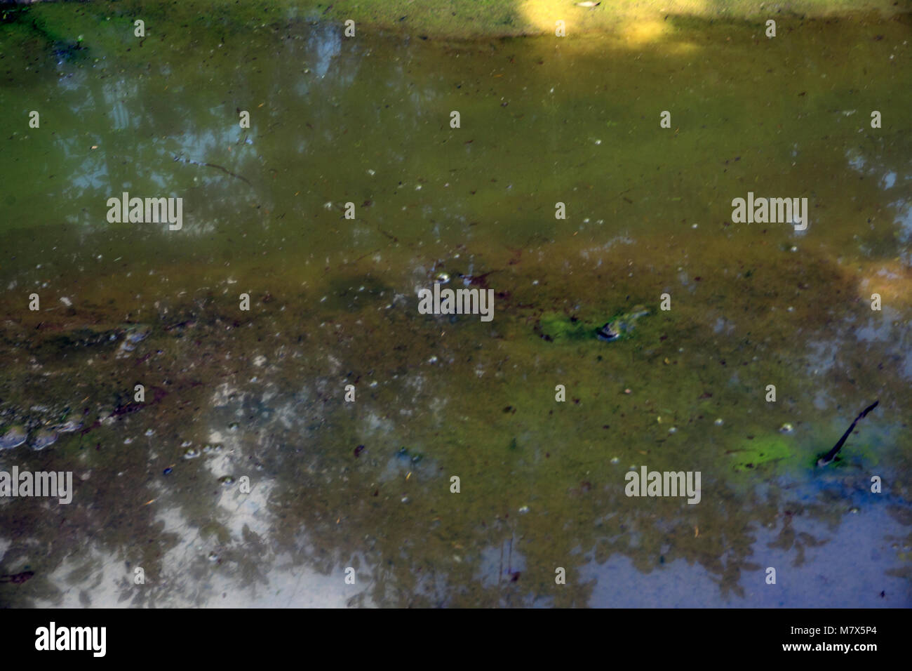 Chemtrail sprayed across the sky cause of rain water pollution ...