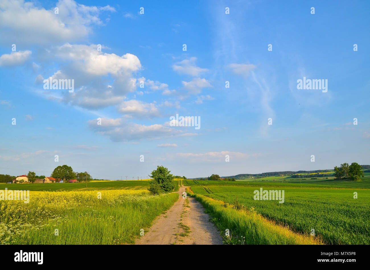 Warmia masuria hi-res stock photography and images - Alamy