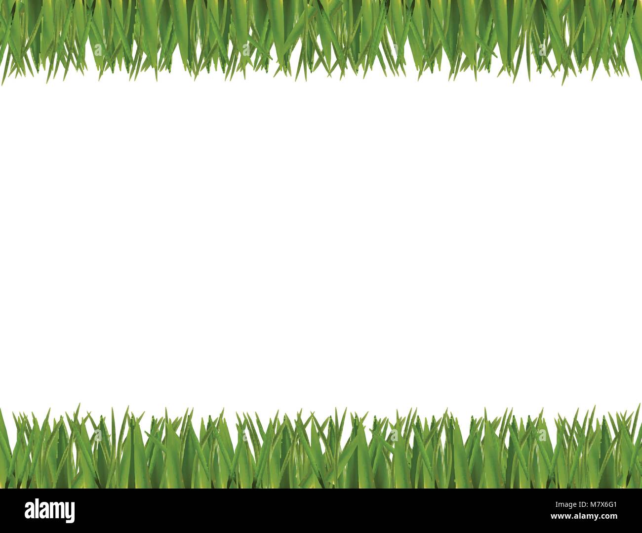 Realistic green grass horizontal border frame isolated on white ...