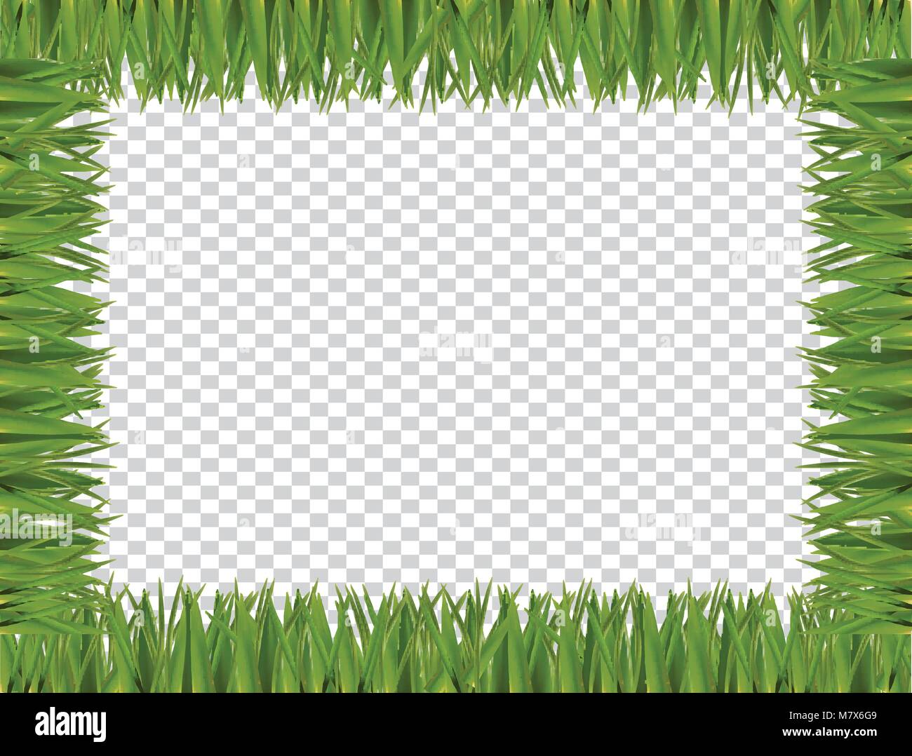 Green realistic rectangle grass border frame isolated on transparent ...