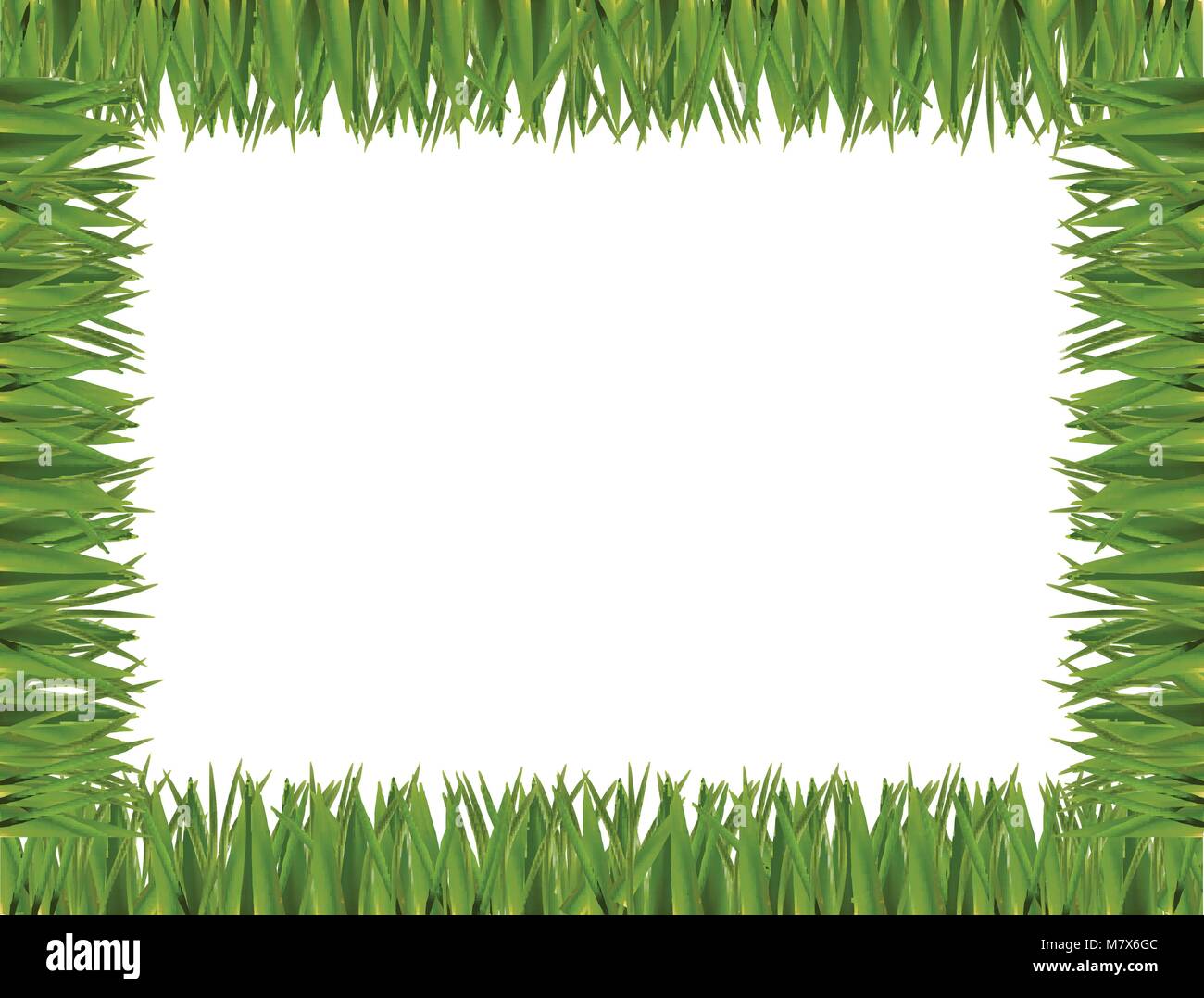 Green realistic rectangle grass border frame isolated on white ...