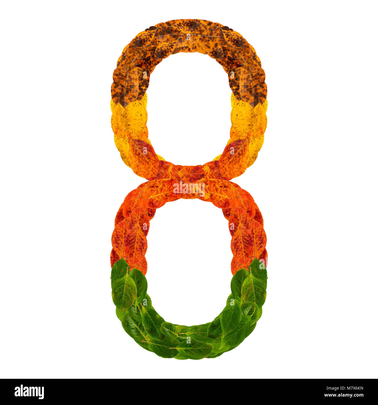 Number 8 Leaves High Resolution Stock Photography and Images - Alamy