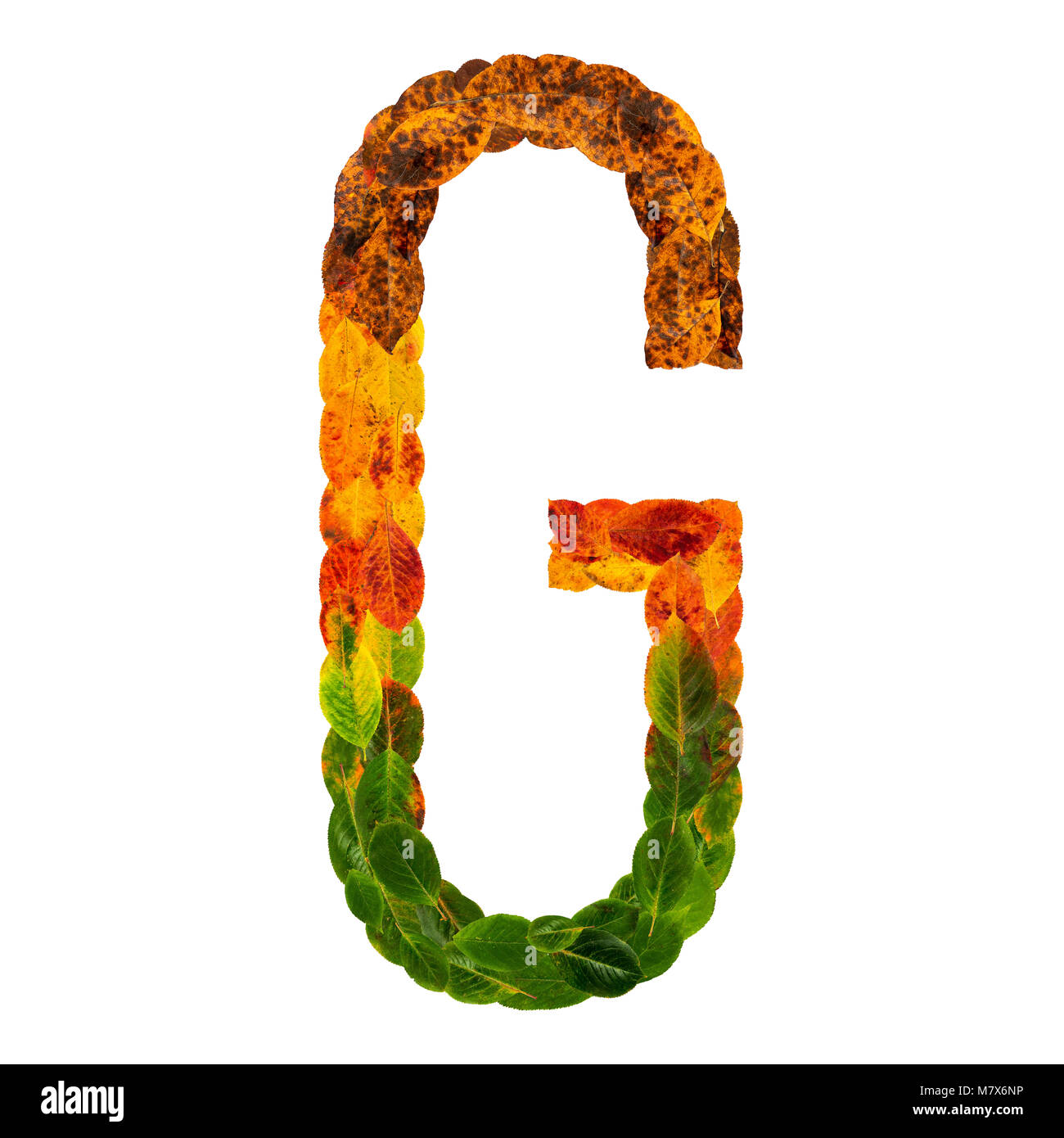 Letter G Cut Out Stock Images & Pictures - Alamy