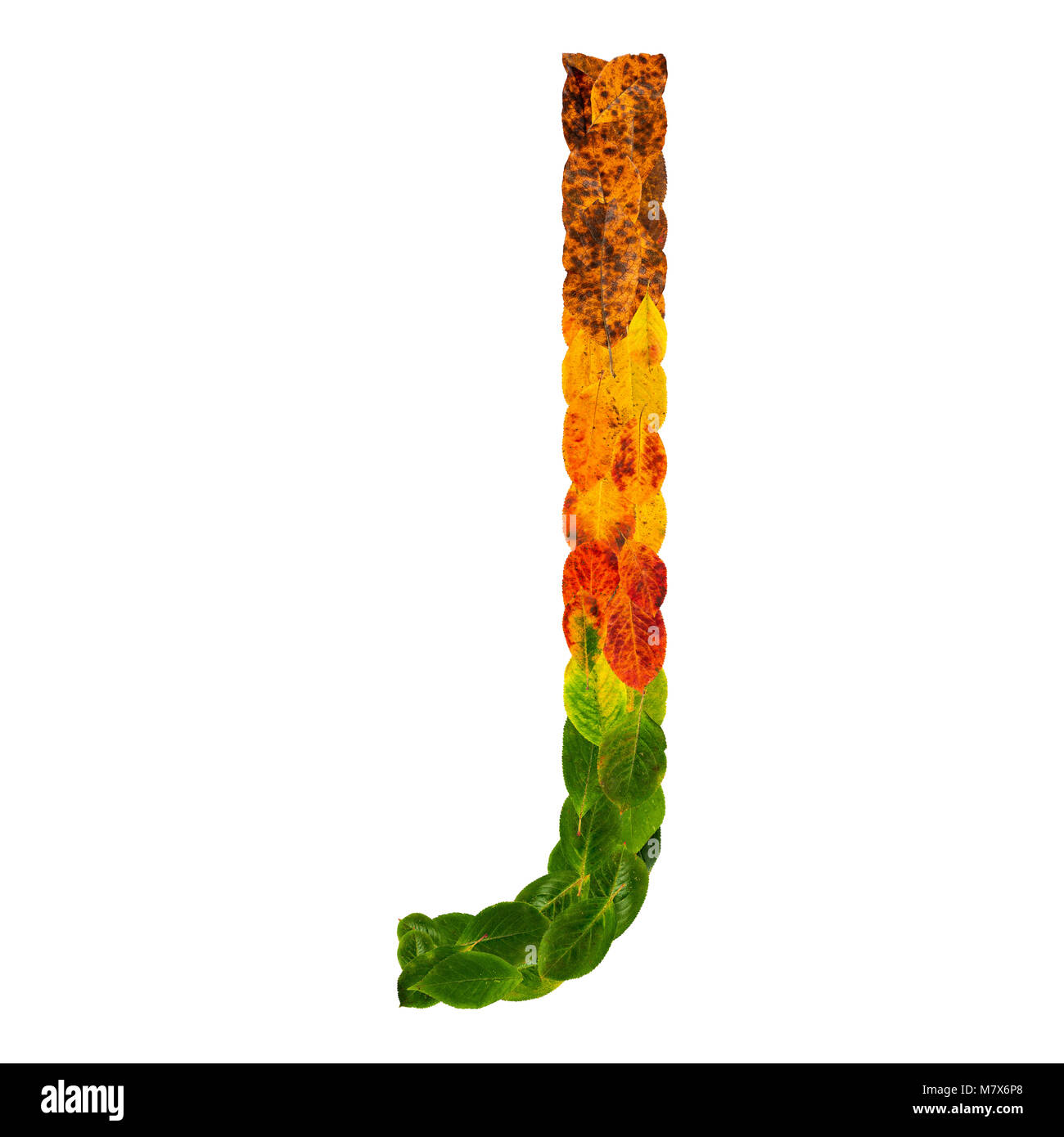 Green leaves ecology letter alphabet hi-res stock photography and ...