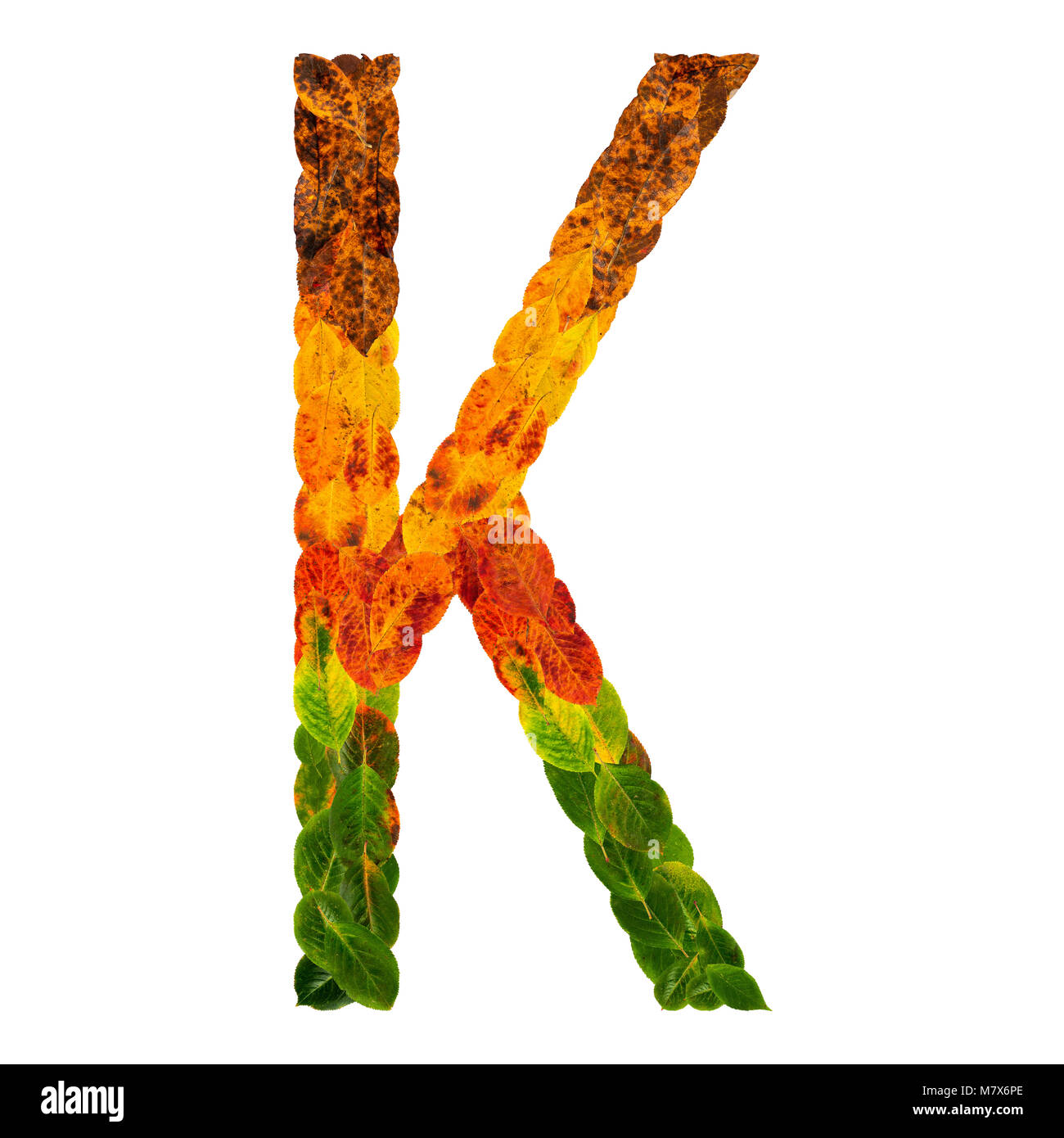 Letter K In Nature
