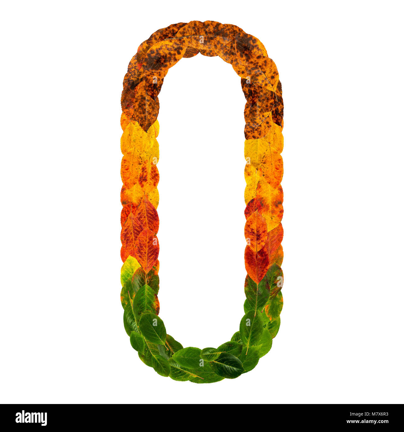 The Letter O In Nature