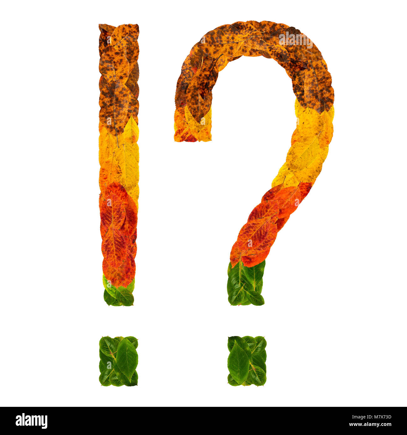 Autumn leaves bright letter. Exclamation mark, interrogative symbol ...