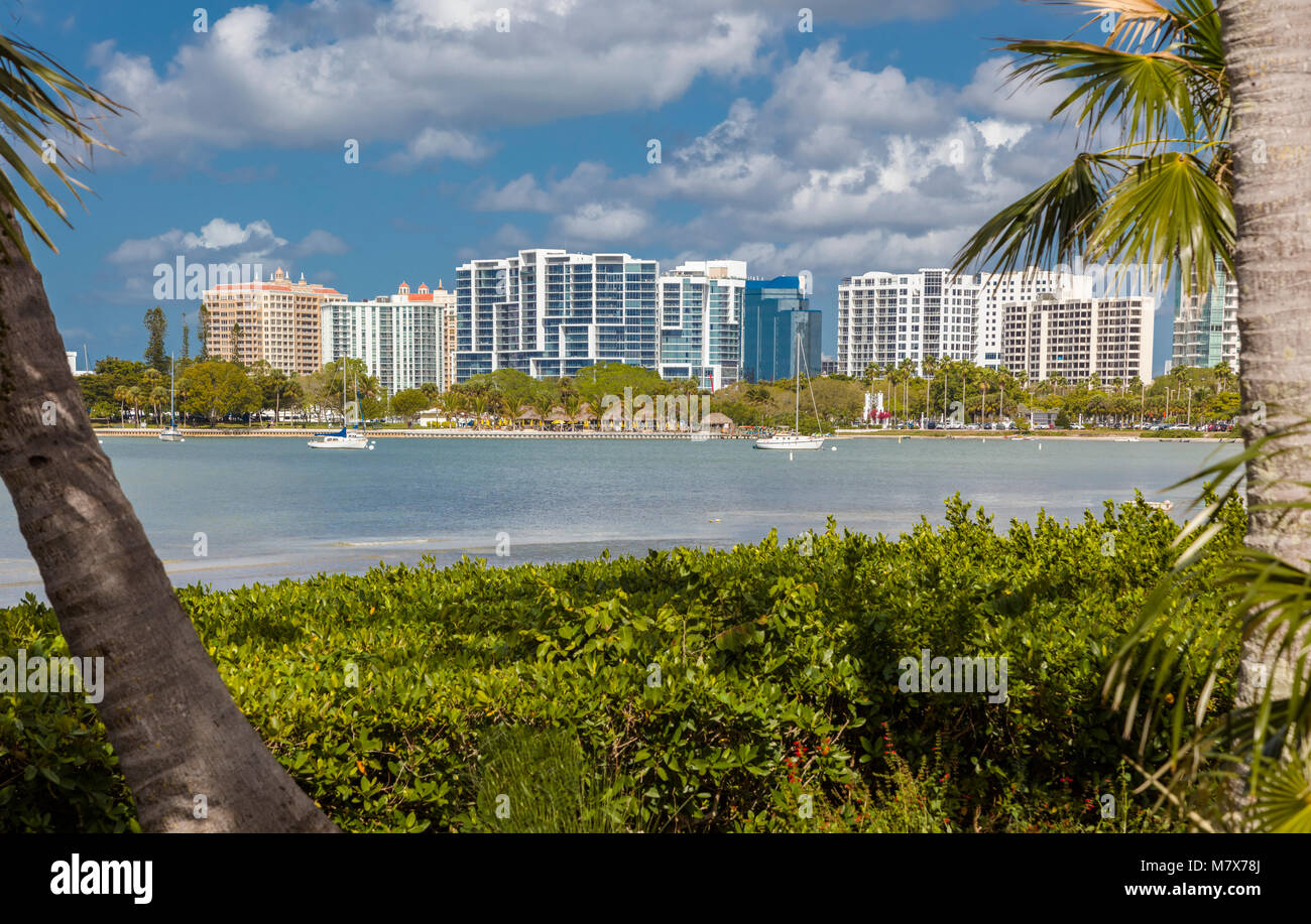 Downtown Sarasota buildings across Sarasota Bay from Selby Gardens in ...