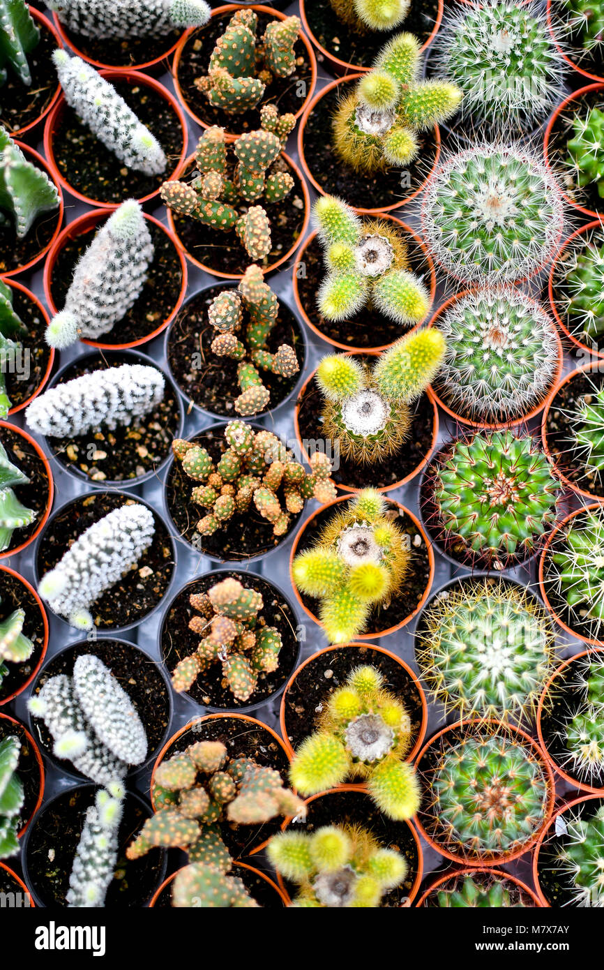 High angle shot decorative hi-res stock photography and images - Alamy
