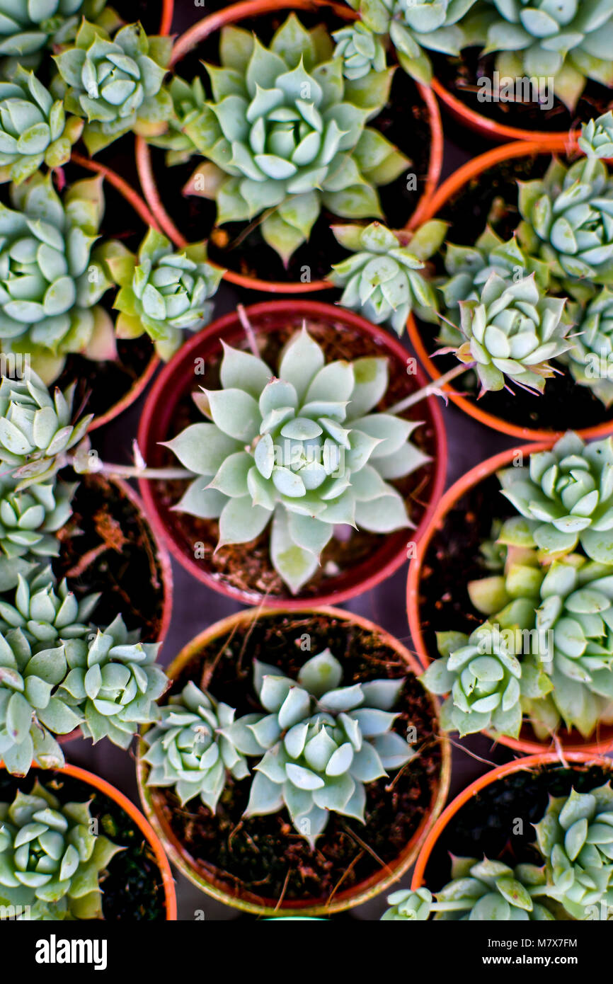 High angle view pattern hi-res stock photography and images - Alamy