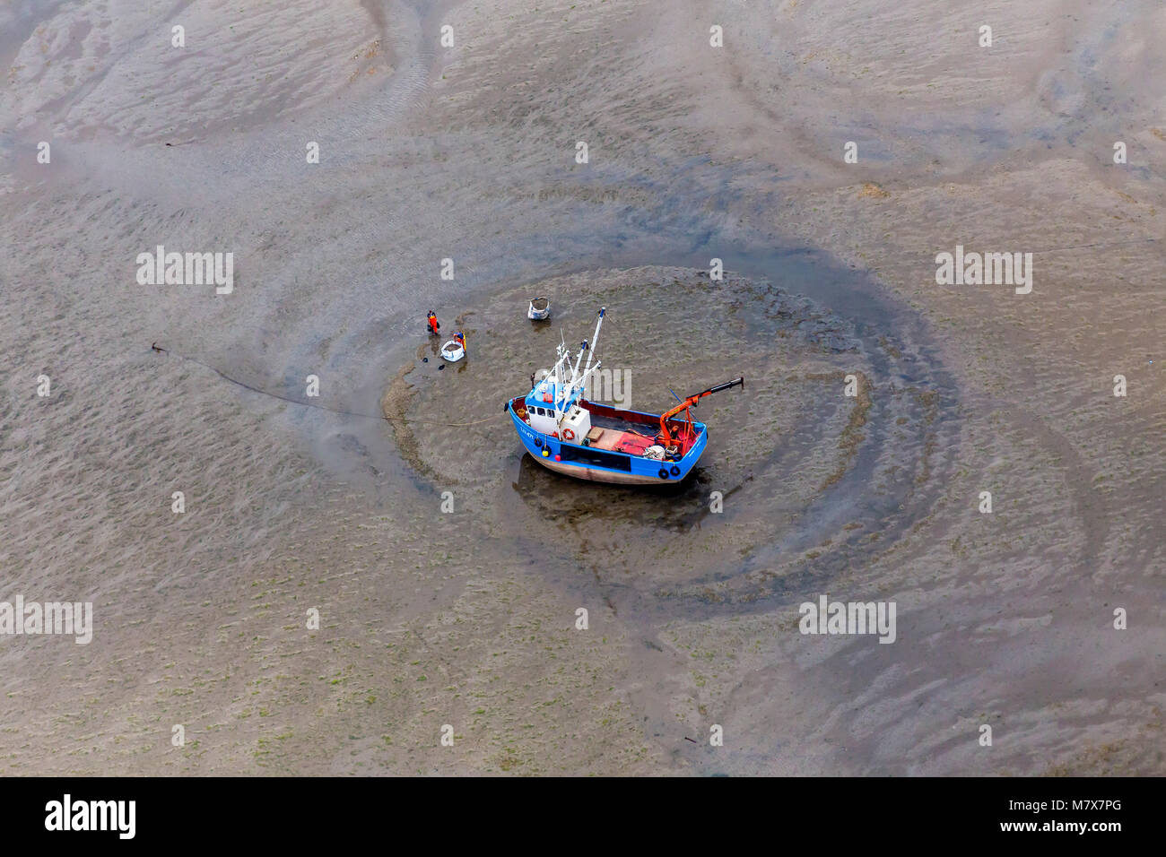 Controversial methods of Cockle fishing. Cockle boats at low tide in ...