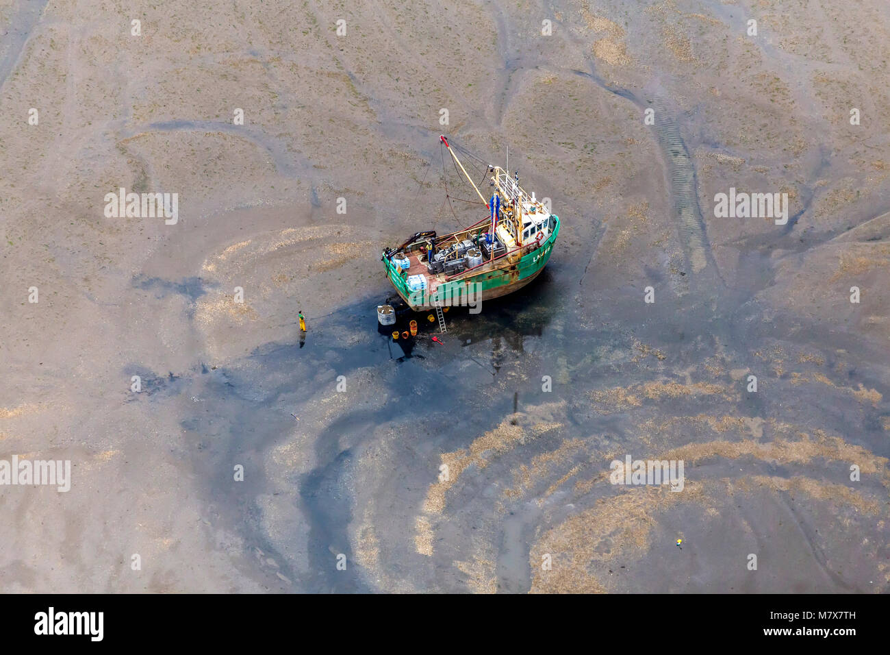 Controversial methods of Cockle fishing. Cockle boats at low tide in ...
