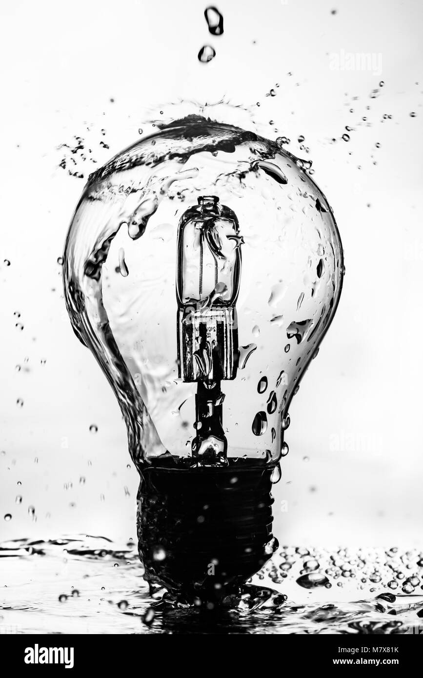 Ground bulb Black and White Stock Photos & Images - Alamy