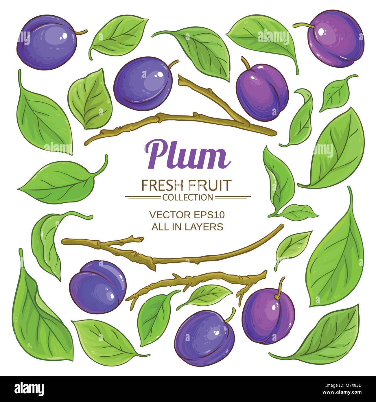 plum elements vector set on white background Stock Vector Image & Art ...