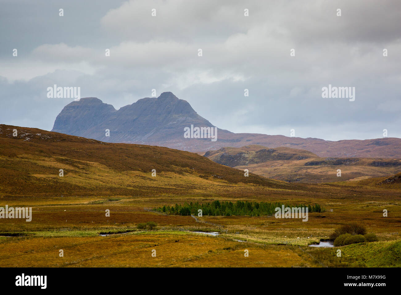 Suilven, Assynt, Sutherland Autumn 2017 Stock Photo - Alamy