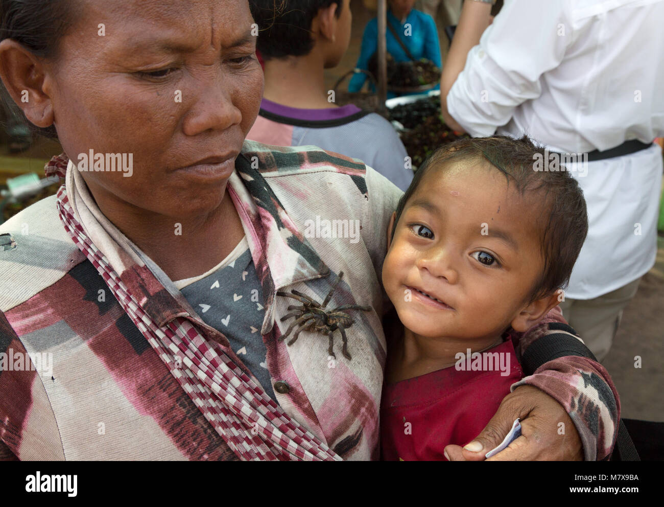 Cambodian Spider Market High Resolution Stock Photography and Images ...