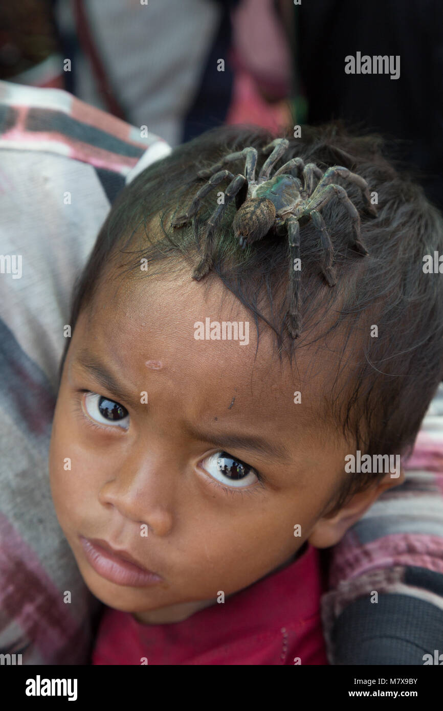 Spider woman hi-res stock photography and images - Alamy