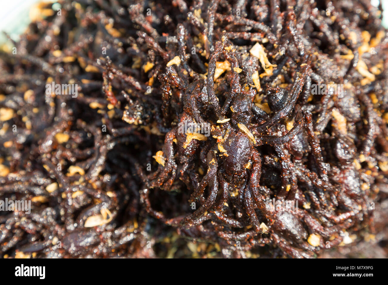 Fried spider spiders hi-res stock photography and images - Alamy